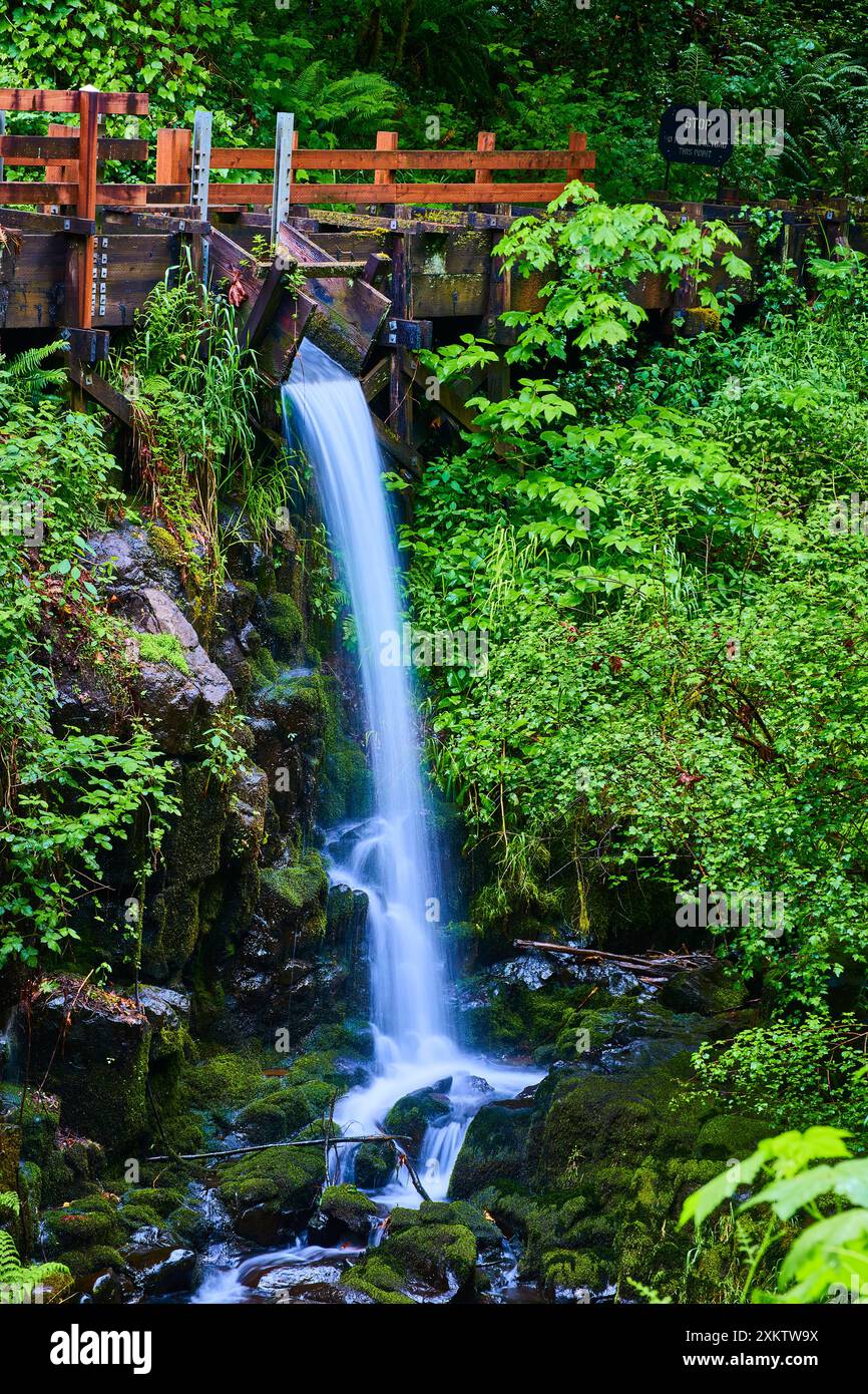 Cascading Waterfall and Wooden Sluice Gate in Lush Forest Tilted Upward ...
