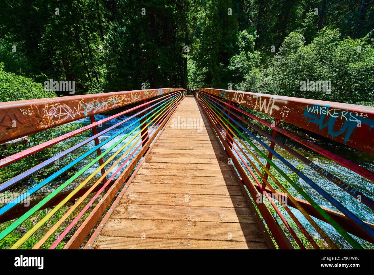 Graffiti-Covered Pedestrian Bridge in Forest with Stream Below Eye ...