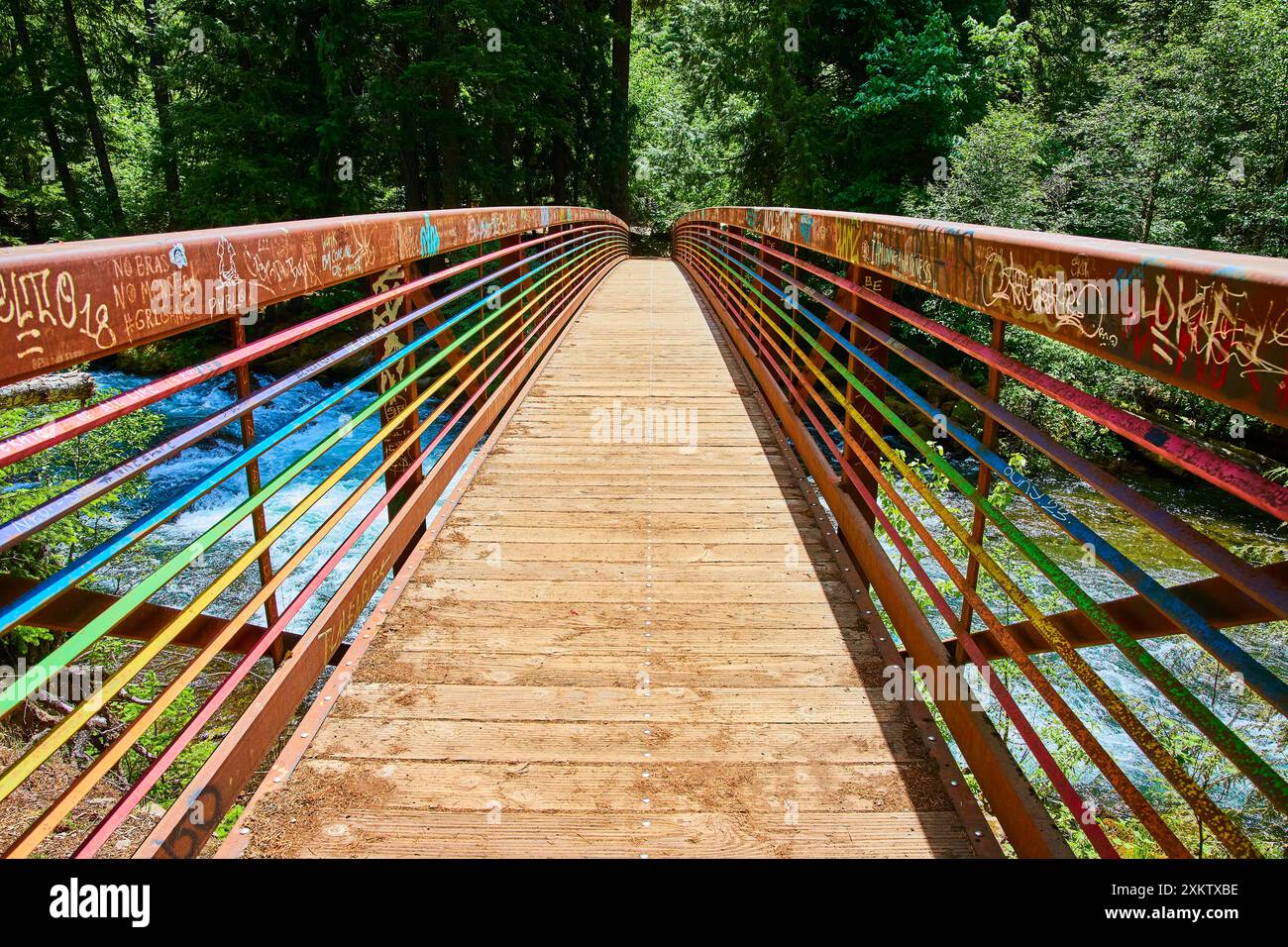 Colorful Graffiti Bridge Over River in Lush Forest Eye-Level ...