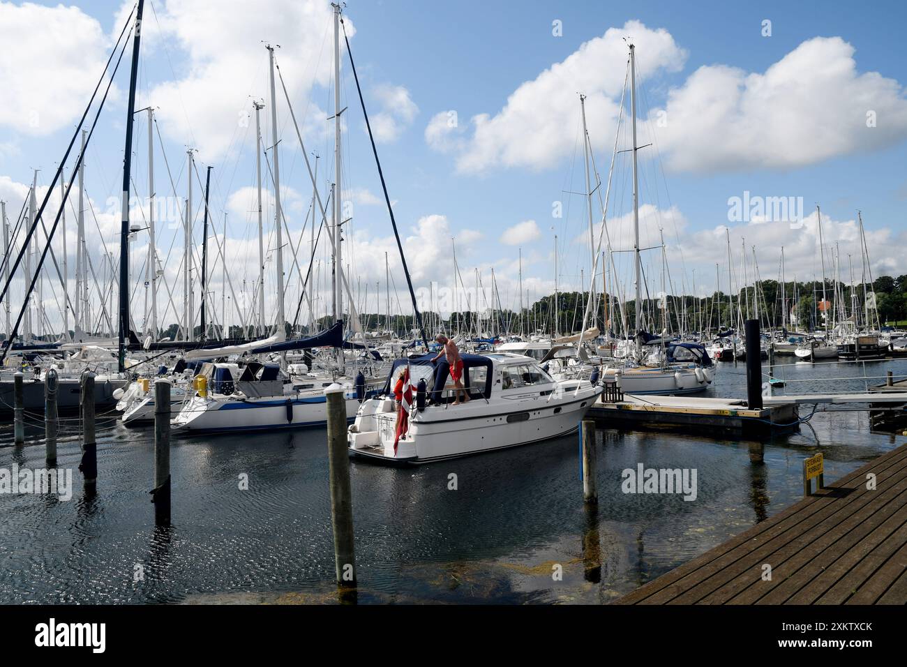 Rungsted kyst/ north zealand/ Denmark/24 July 2024/ Life at rungsted ...