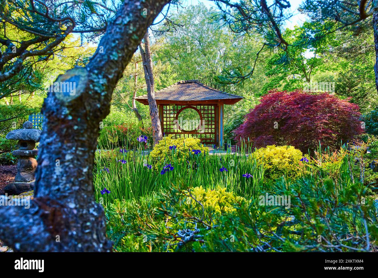 Japanese Garden Gazebo with Ornate Window Low Eye-Level Perspective ...