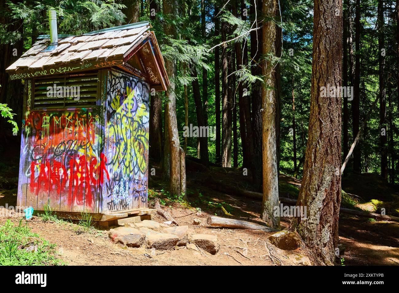 Graffiti-Covered Shed in Lush Forest Eye Level View Stock Photo - Alamy