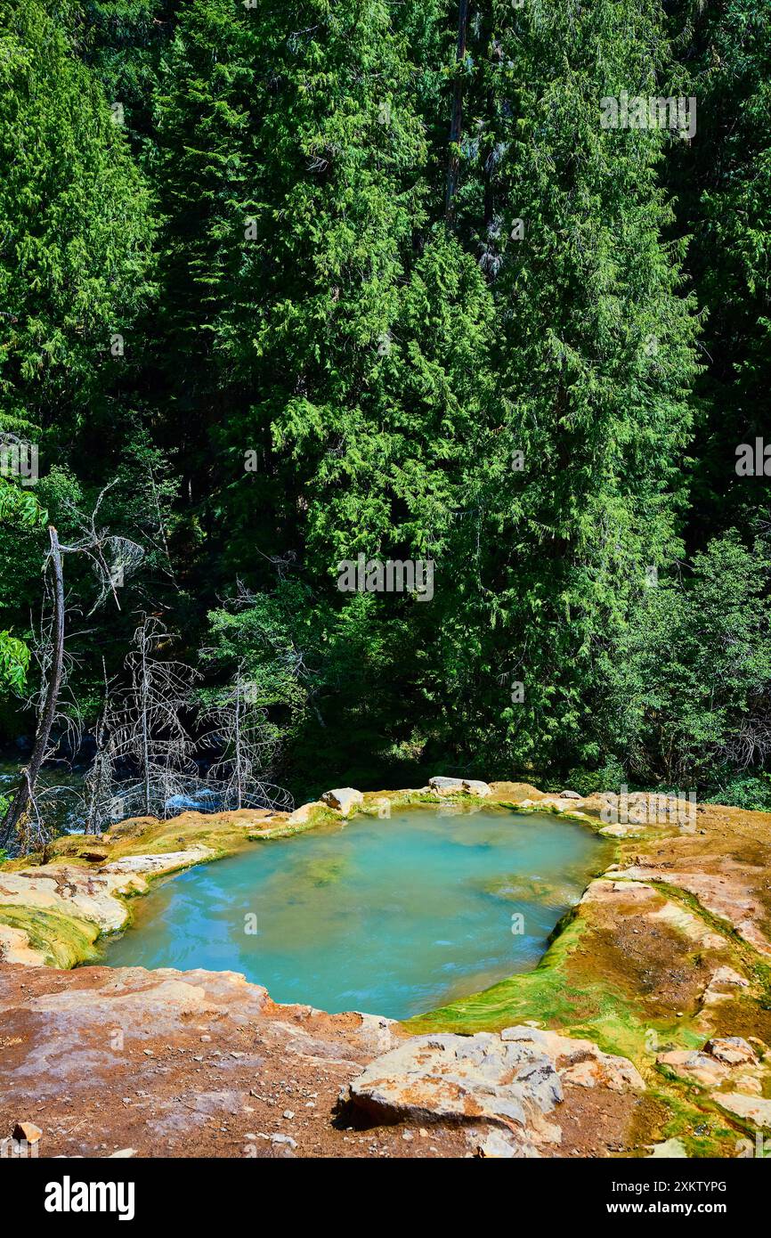Idyllic Natural Hot Spring in Dense Forest Eye-Level View Stock Photo ...