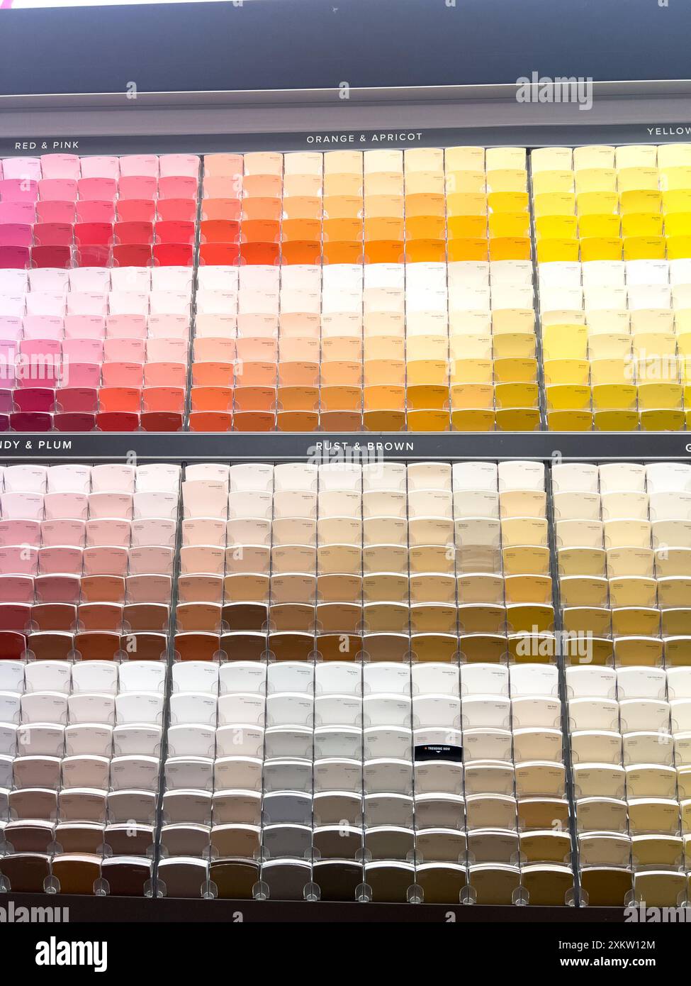 Vibrant Display of Paint Color Samples at Home Depot Stock Photo Alamy