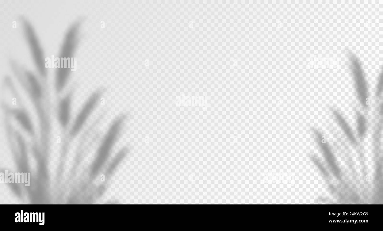 Soft overlay of natural light. Abstract background for product ...