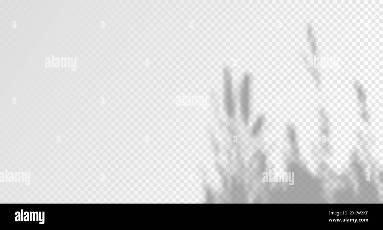 Soft overlay of natural light. Abstract background for product ...