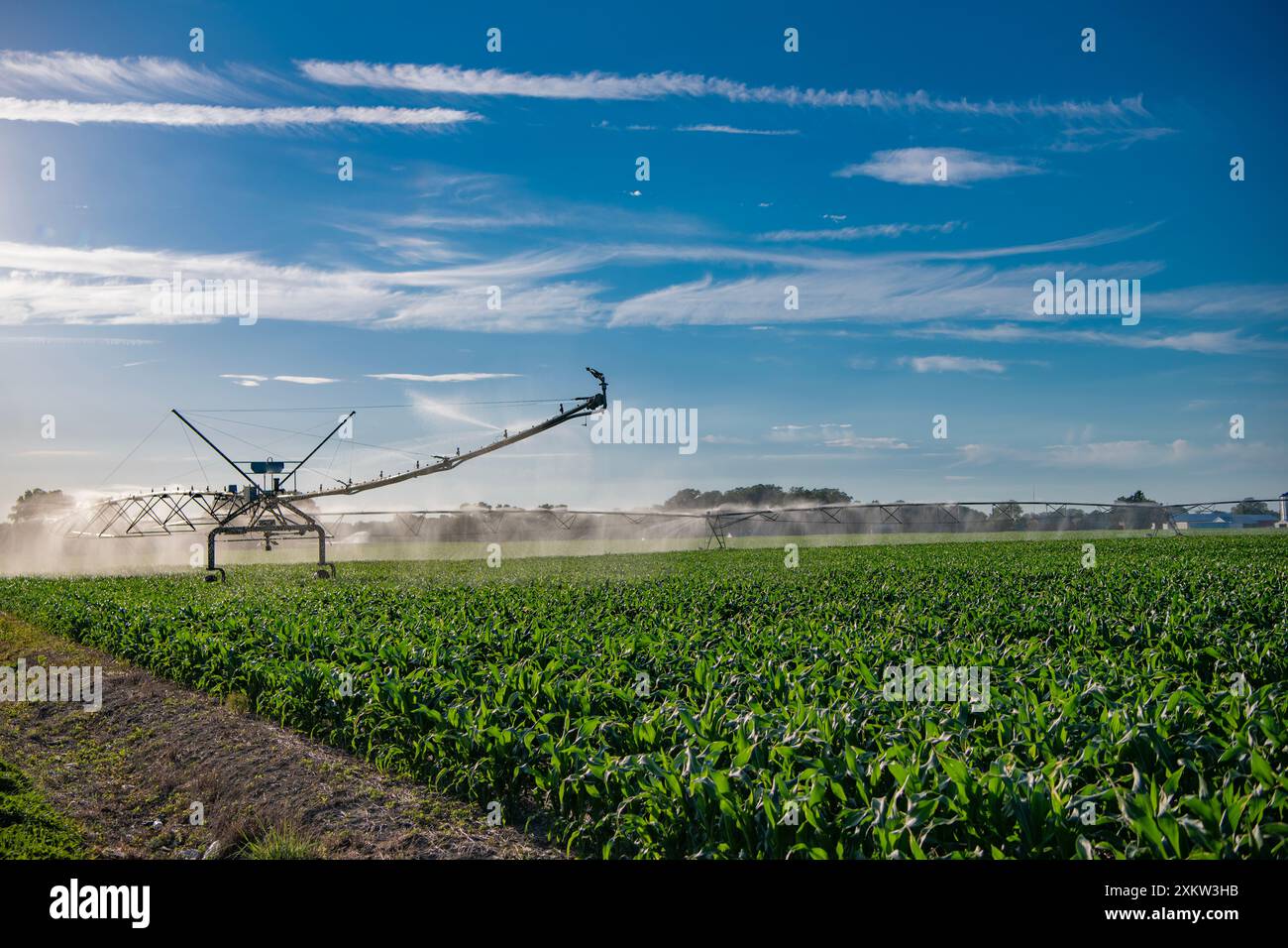Crop irrigation. Agriculture and farming. Irrigation system watering ...
