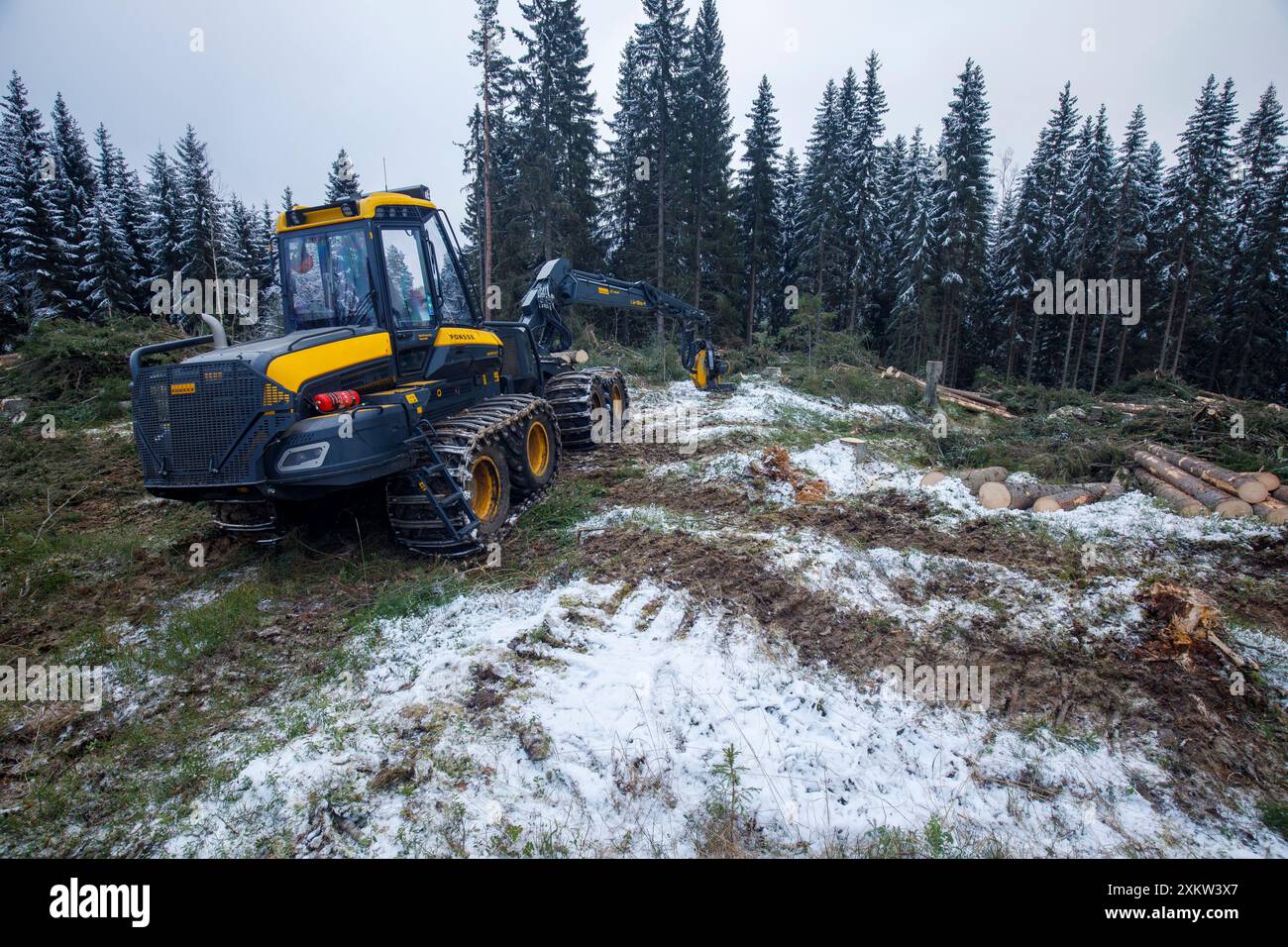 Ponsse Ergo forest harvester at clear cutting area , Finland Stock ...
