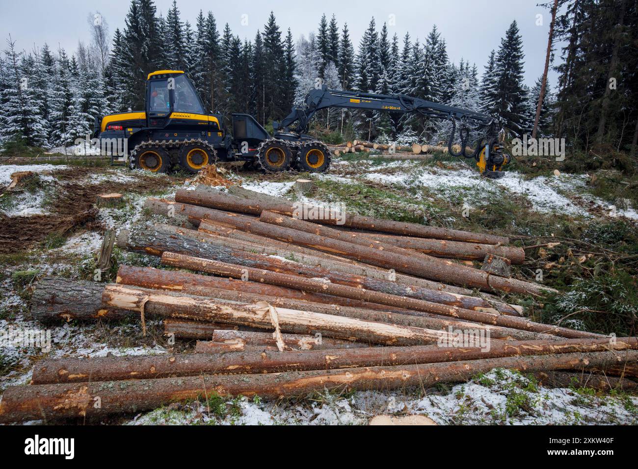 Ponsse Ergo forest harvester at clear cutting area at spruce fir tree ...