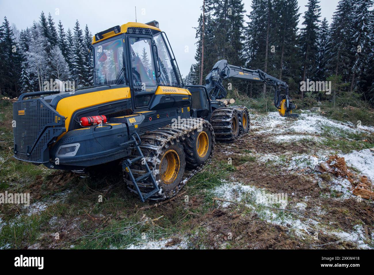 Ponsse Ergo forest harvester at clear cutting area at spruce fir tree ...