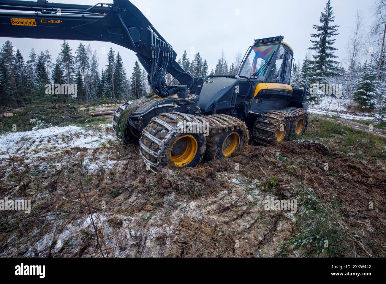 Ponsse Ergo forest harvester at clear cutting area , Finland Stock ...