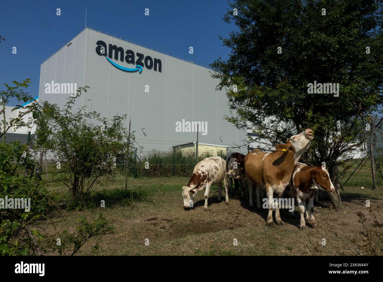 Amazon fulfillment center warehouse hi-res stock photography and images ...