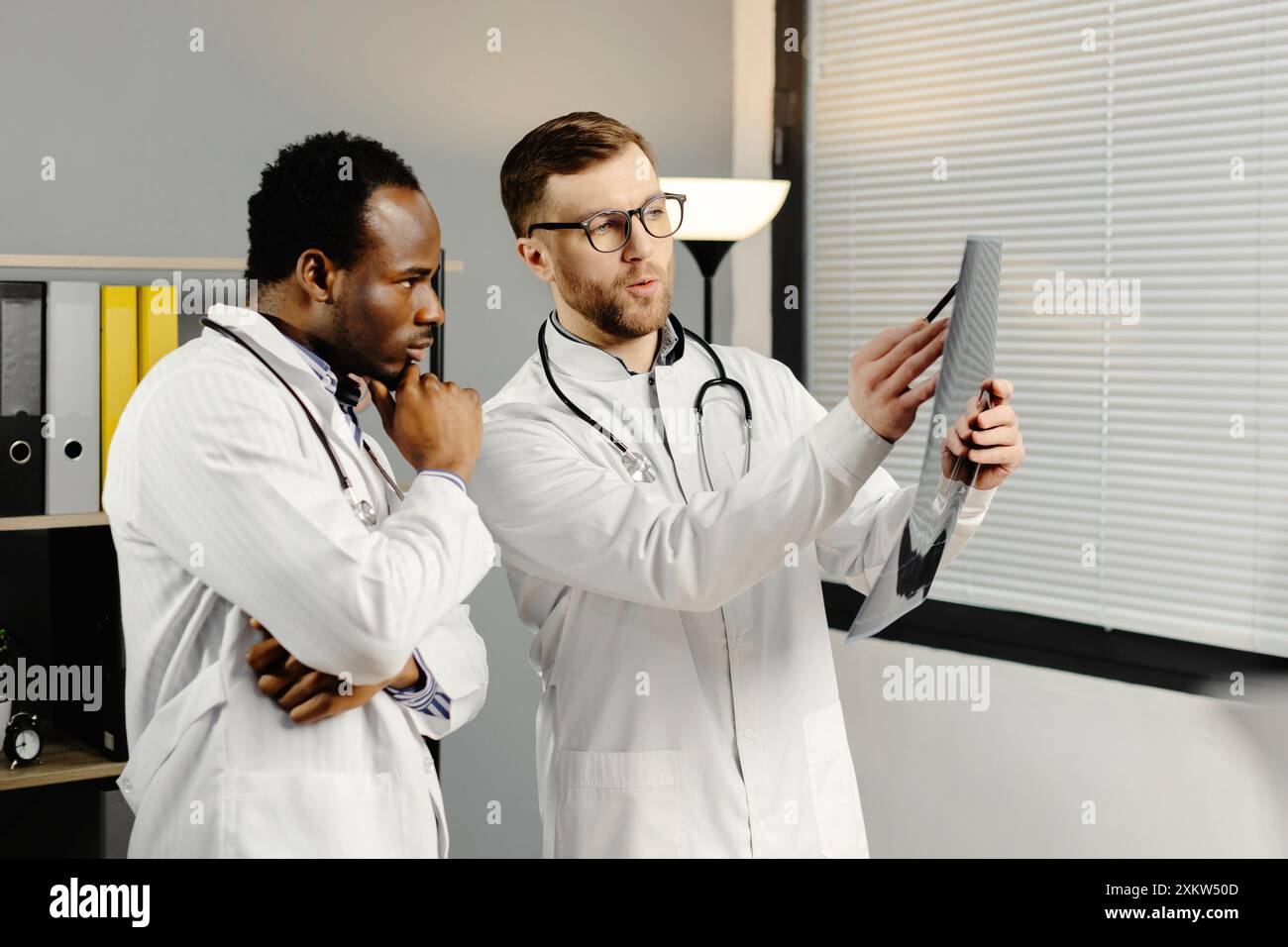 Medical professional analyzing brain hi-res stock photography and ...