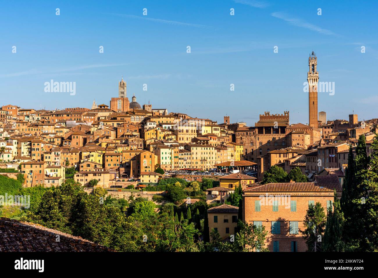 A View of The Historic City of Siena, Tuscany, Italy Stock Photo - Alamy