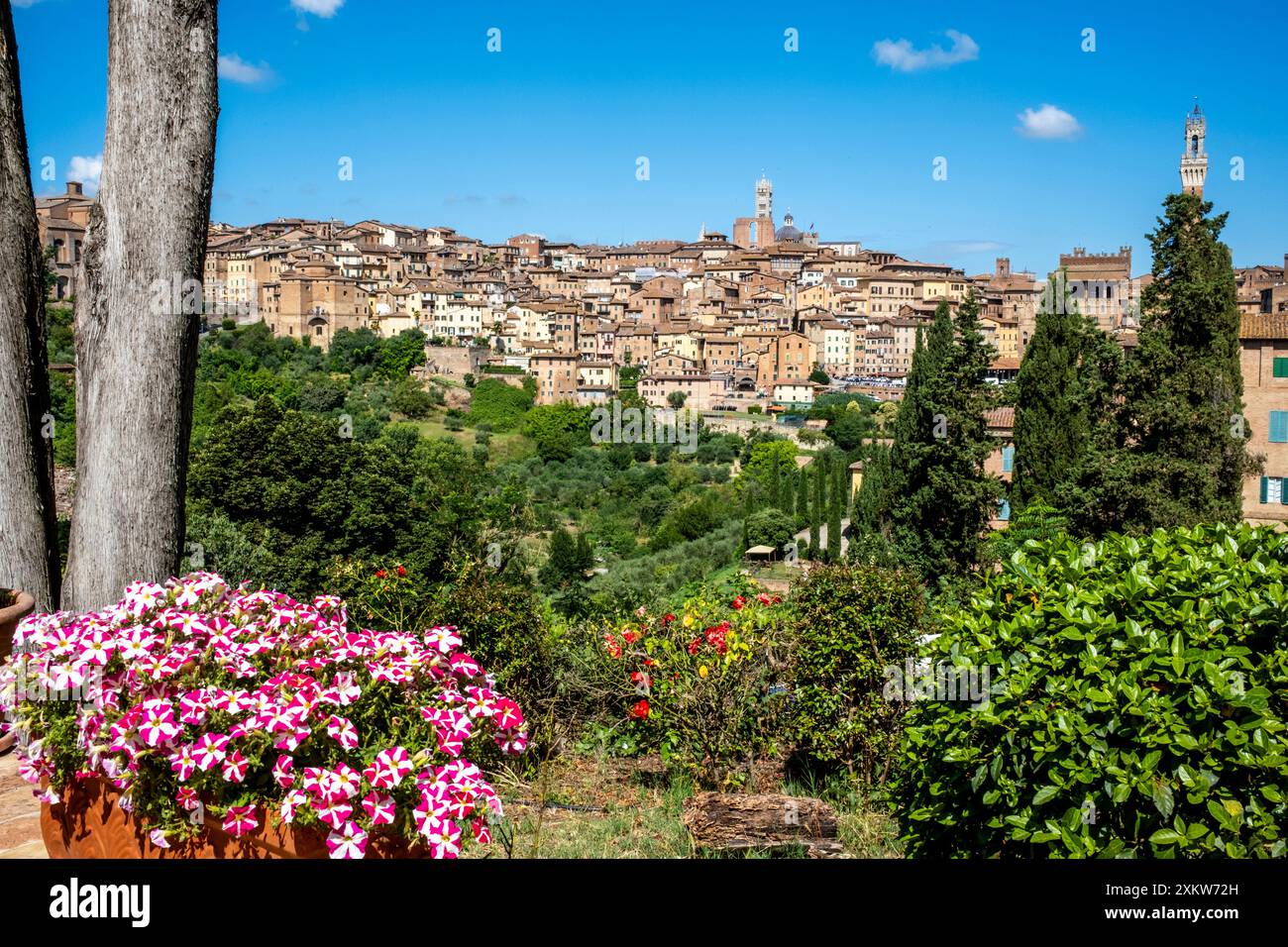 People tuscany italy landscape siena hi-res stock photography and ...