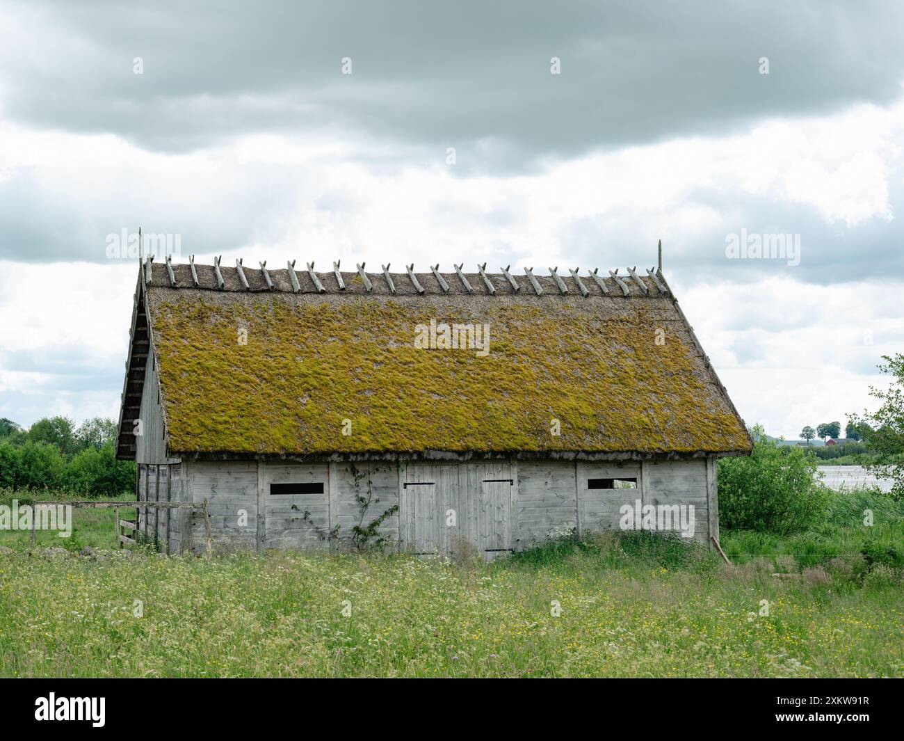 Moss on roof hi-res stock photography and images - Alamy