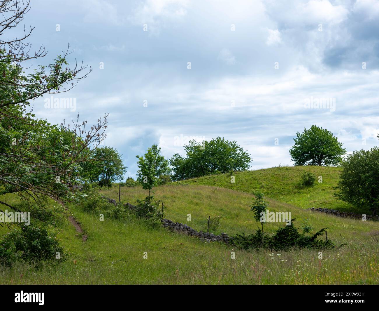 Hills rolling background hi-res stock photography and images - Alamy