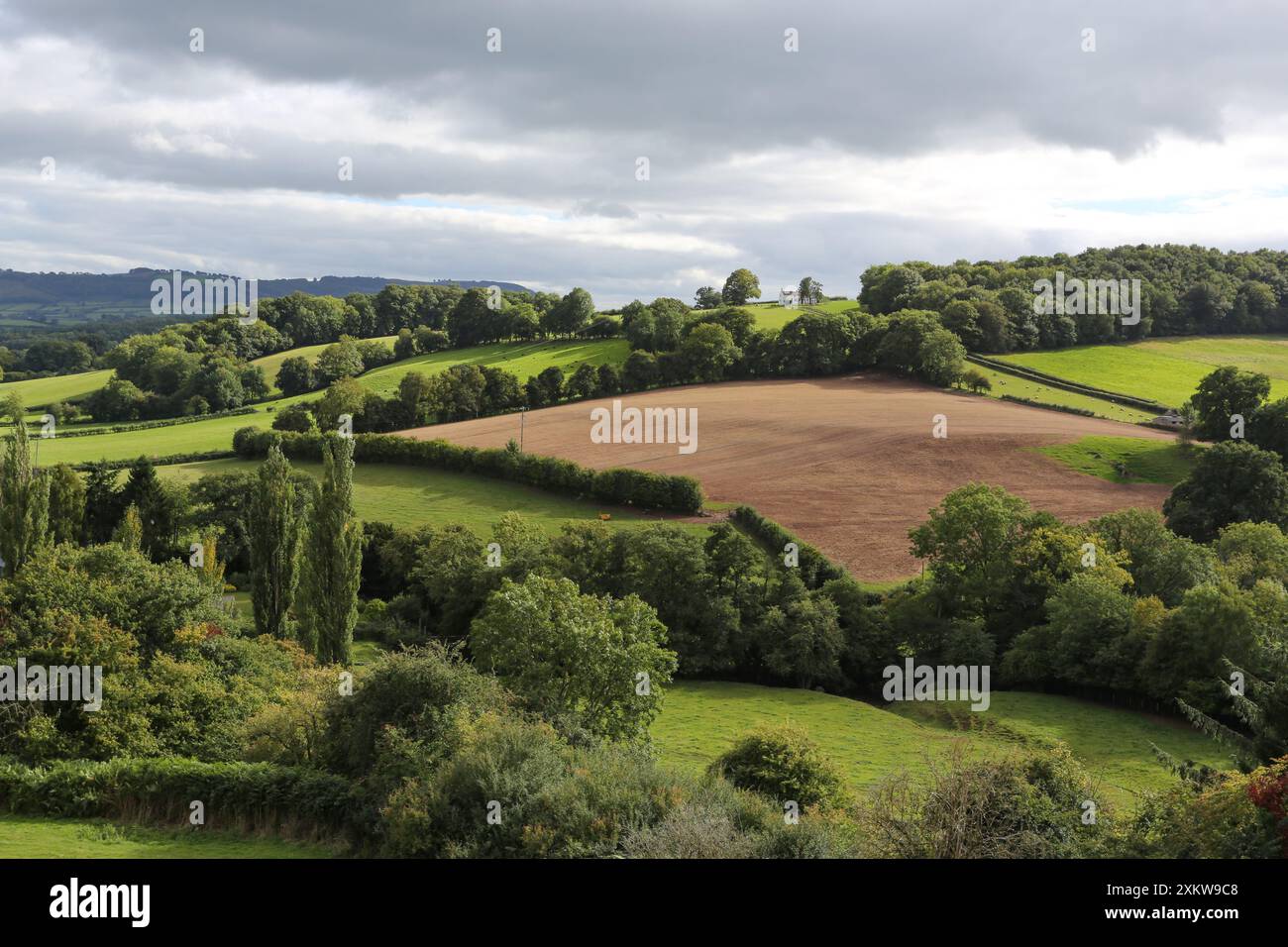 Newly cultivated hillside field hi-res stock photography and images - Alamy