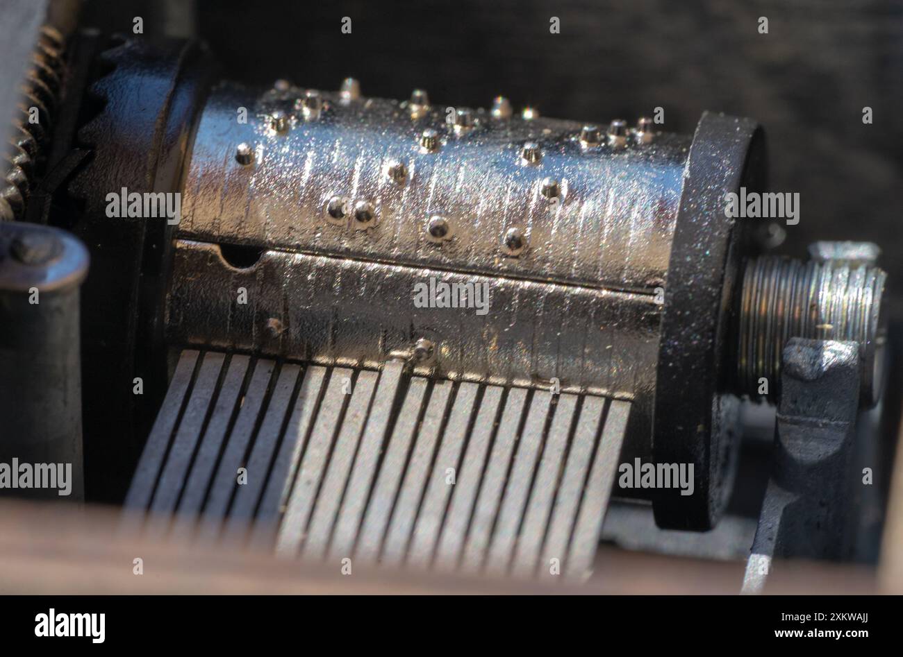 Detail of the reeds and protrusions of the rotating drum of a small ...