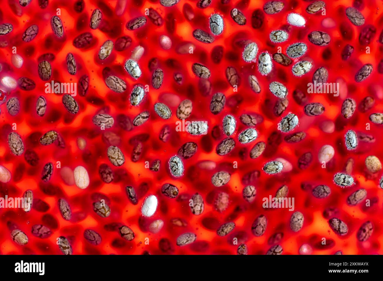 Numerous chia seeds hydrated in a red liquid environment scattered in a ...