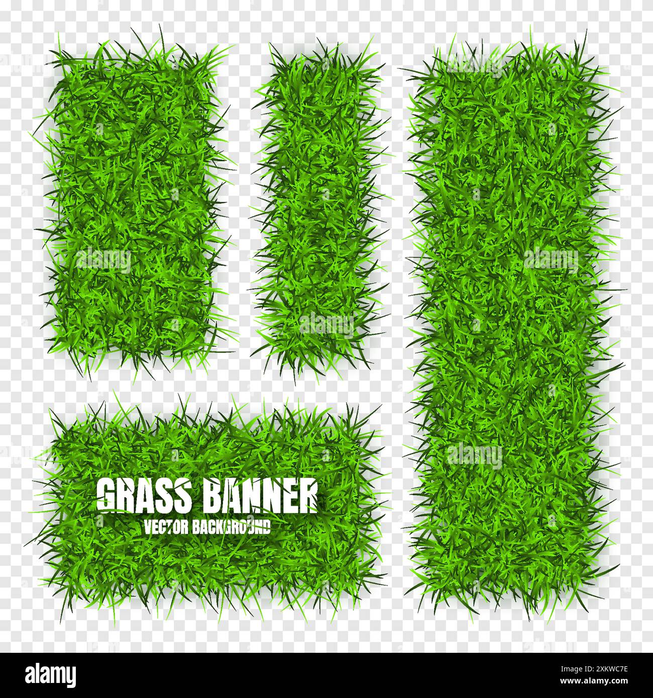 Green grass banners, background. Field, meadow texture, grassy ...