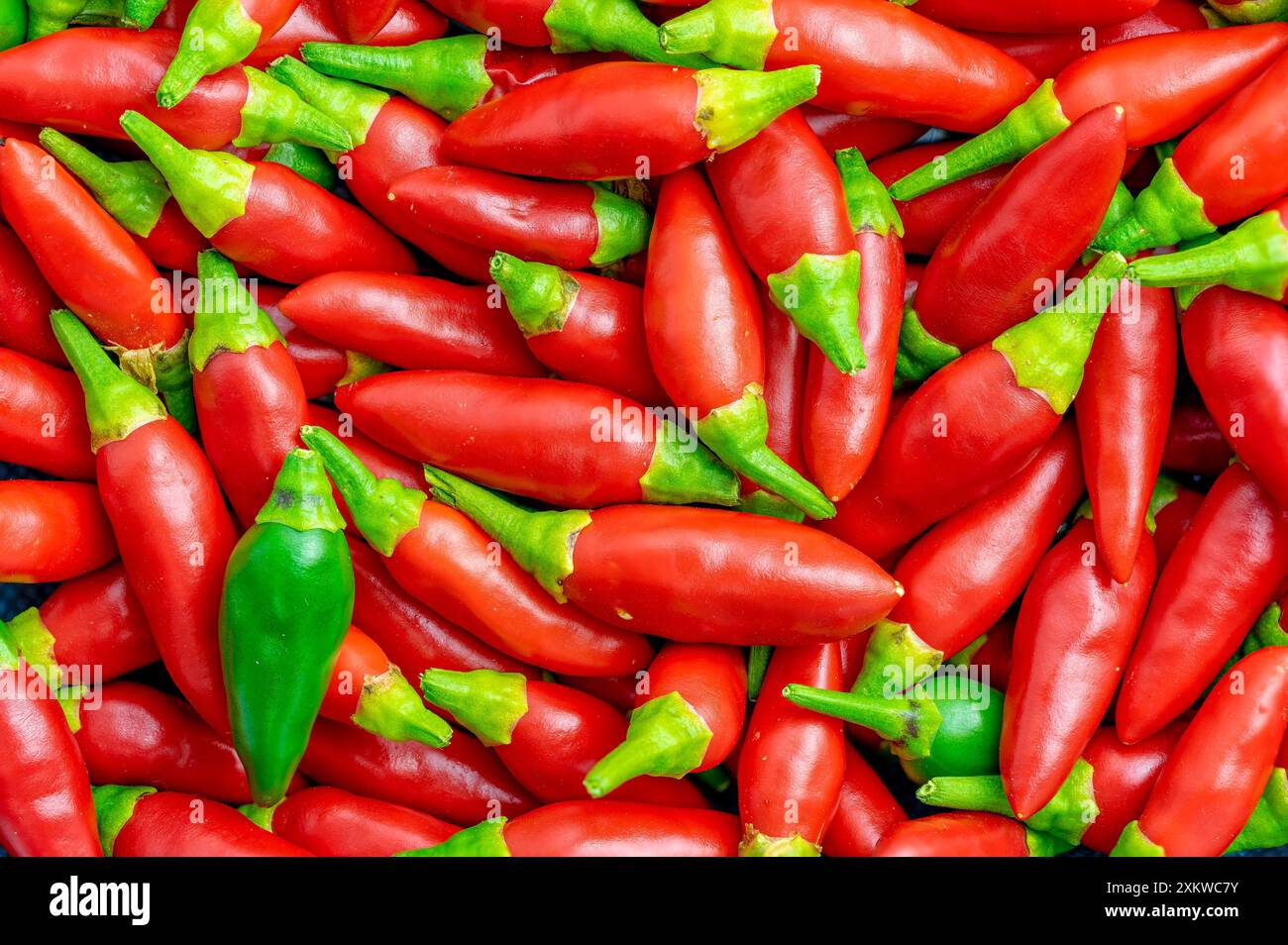 Set of small red chillies, one green isolated.Use for image background ...