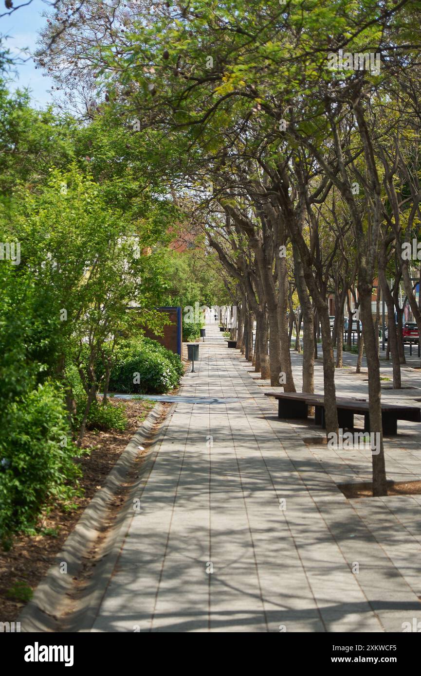 A walkway bordered by trees and benches offers a peaceful stroll in an ...