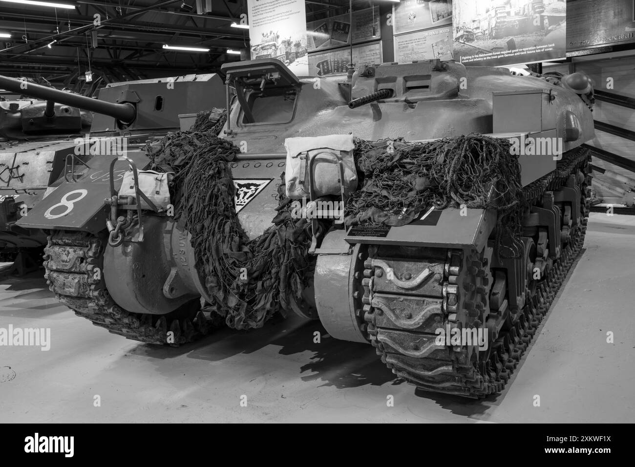 Bovington.Dorset.United Kingdom.February 25th 2024.A Ram Kangaroo ...