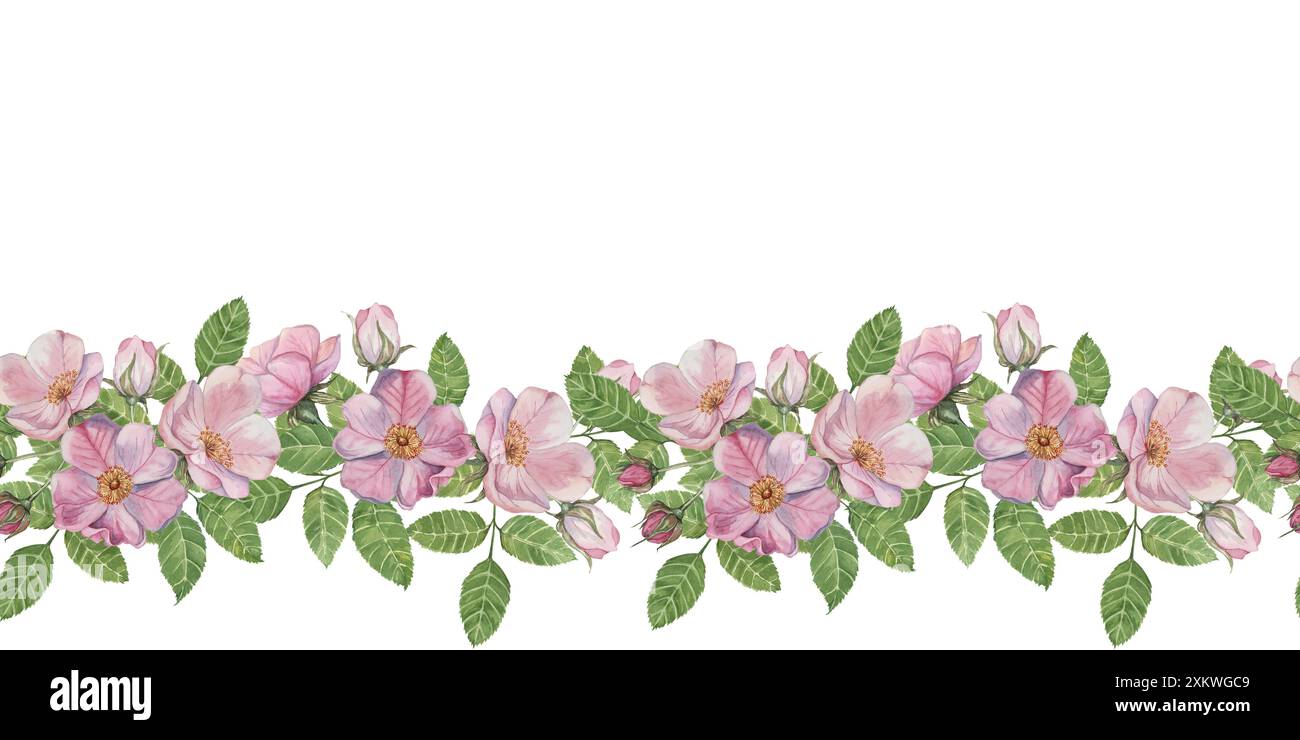 Showcases clusters Cut Out Stock Images & Pictures - Alamy