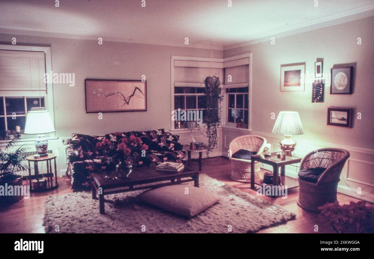 Apartment living room in the Moorlands, 1980s, St. Louis, Missouri, USA ...