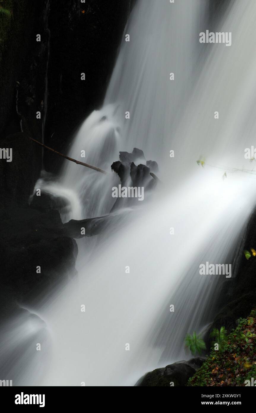 Stock Ghyll Force, Ambleside Stock Photo - Alamy