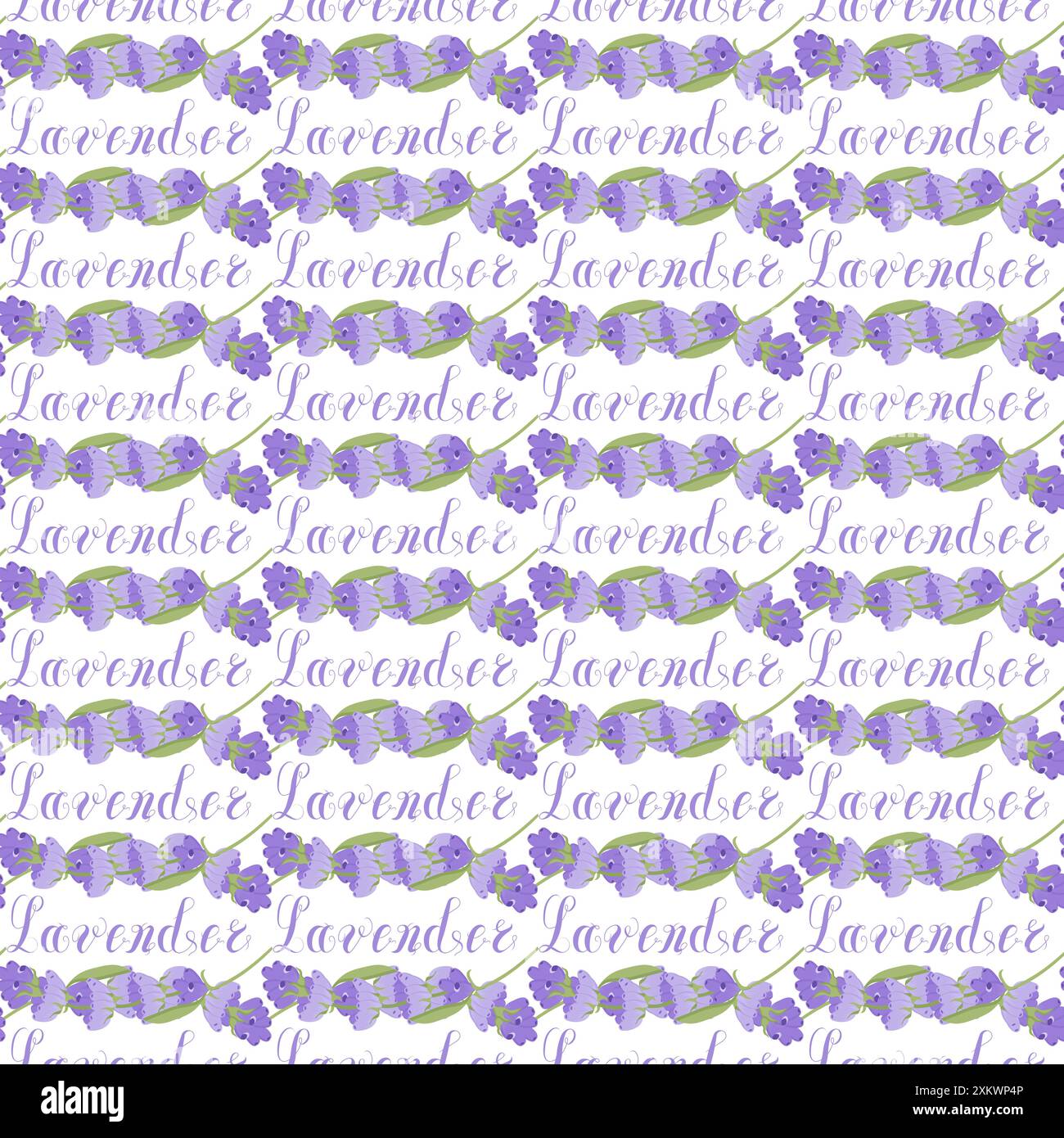Lavender. Seamless pattern with flowers and the calligraphic word ...