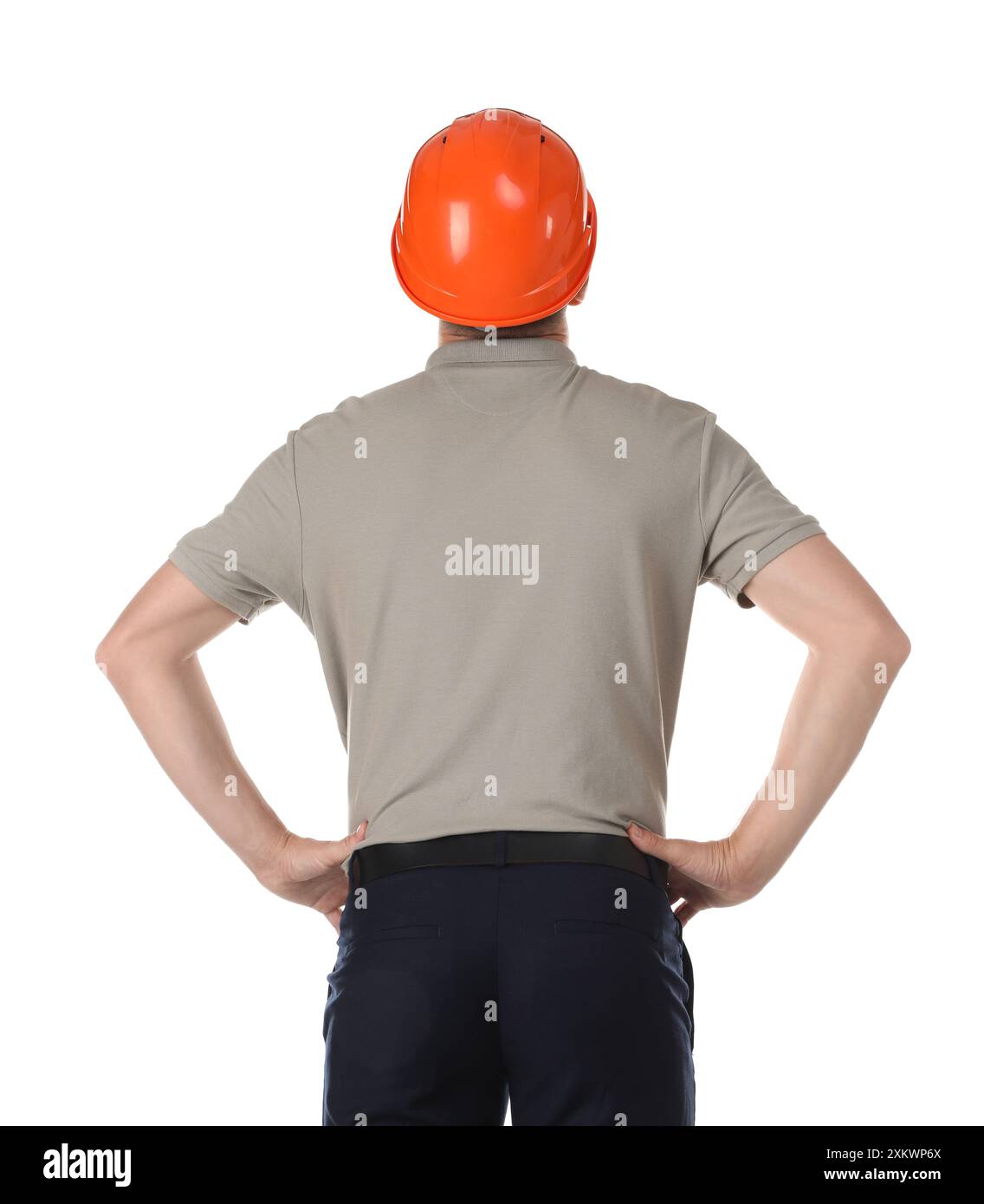 Engineer in hard hat on white background, back view Stock Photo - Alamy