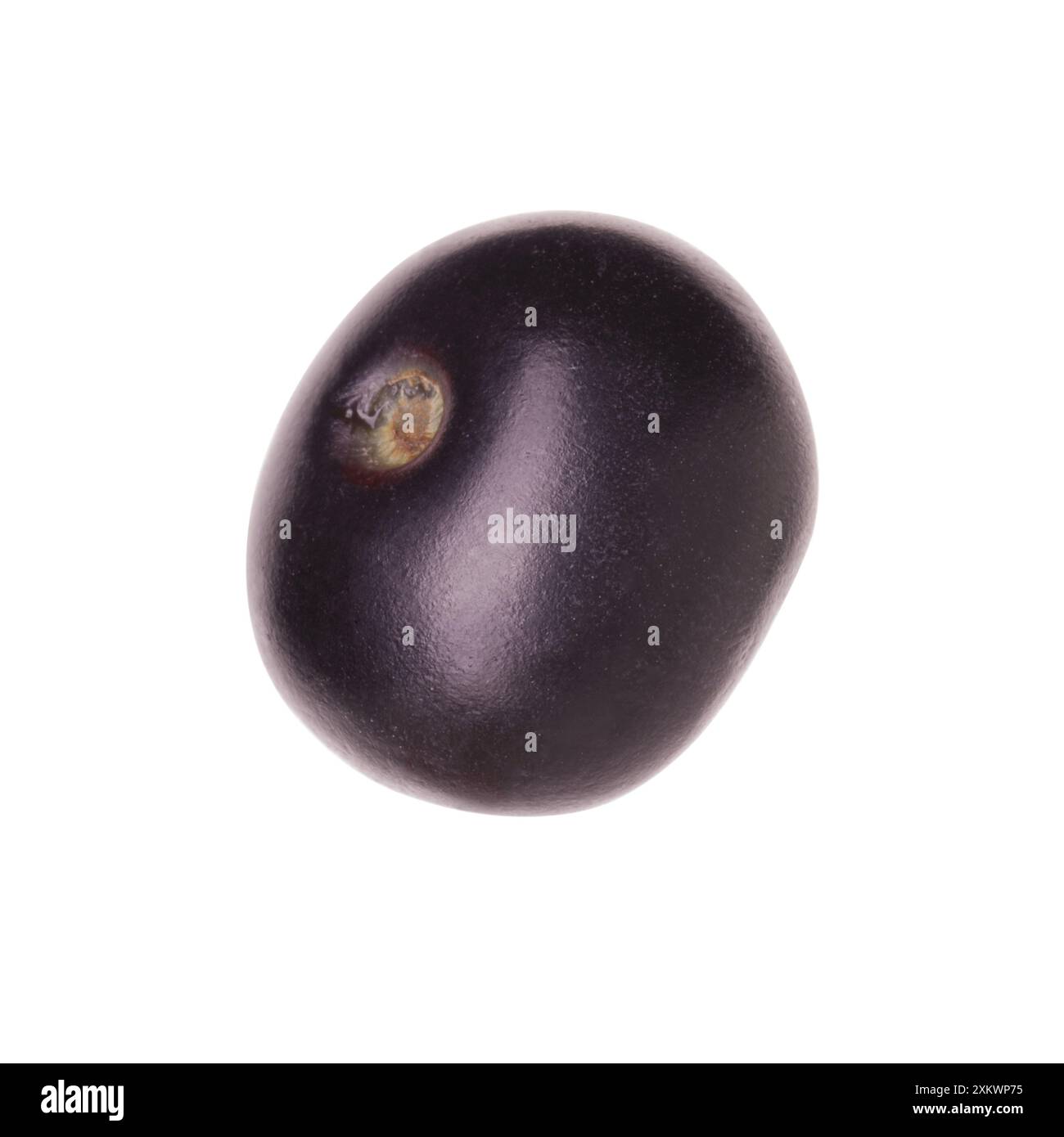 Fresh acai berry isolated Cut Out Stock Images & Pictures - Alamy