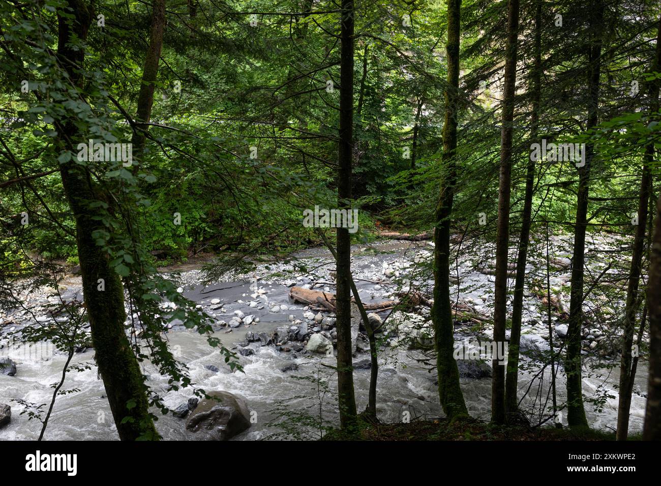 Landscape with the Tamina river in the Tamina canyon in Switzerland ...