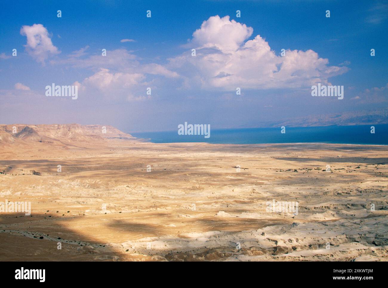 ISRAEL - The Judean desert, seen from the top of Stock Photo - Alamy