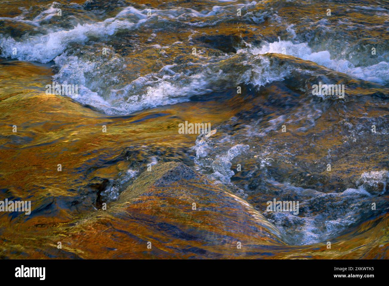 Water - autumn colours reflected in the Swift River Stock Photo - Alamy
