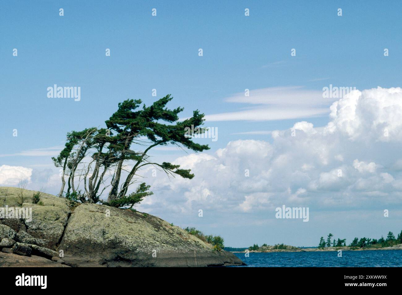 High shows hi-res stock photography and images - Alamy