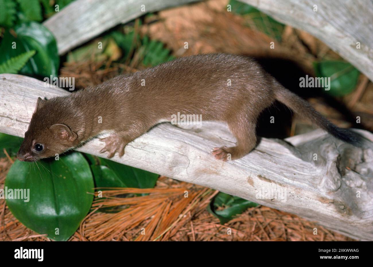 Long turns hi-res stock photography and images - Alamy