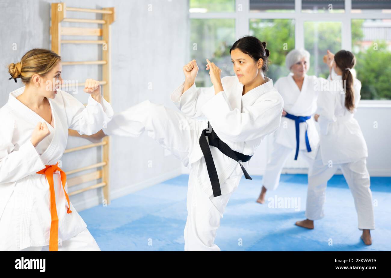Two women practicing karate hi-res stock photography and images - Alamy