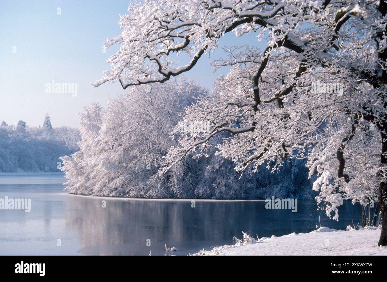 Lakeside vegetation hi-res stock photography and images - Alamy