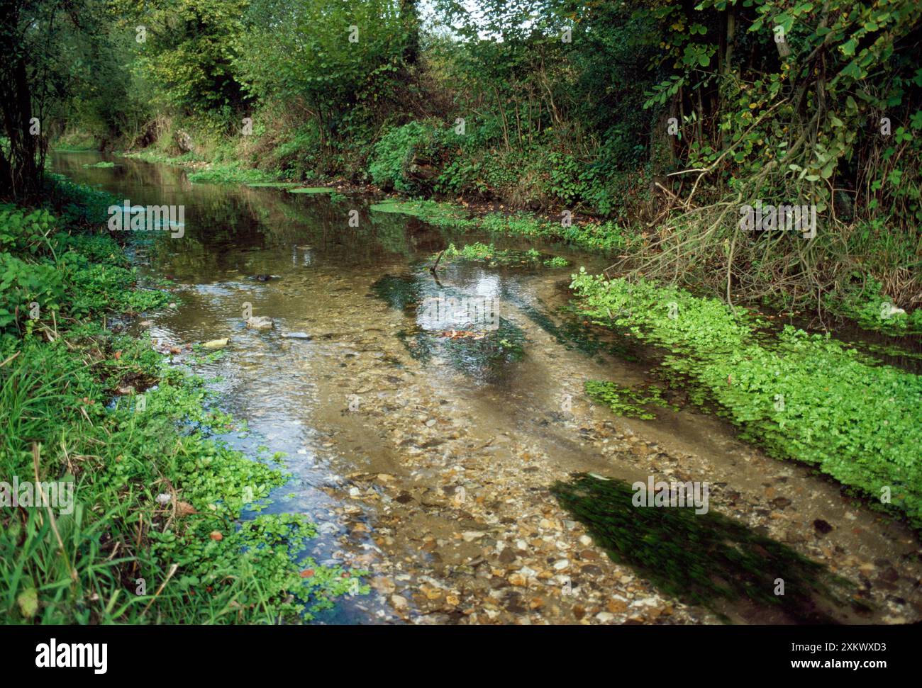 Chalk streams hi-res stock photography and images - Alamy