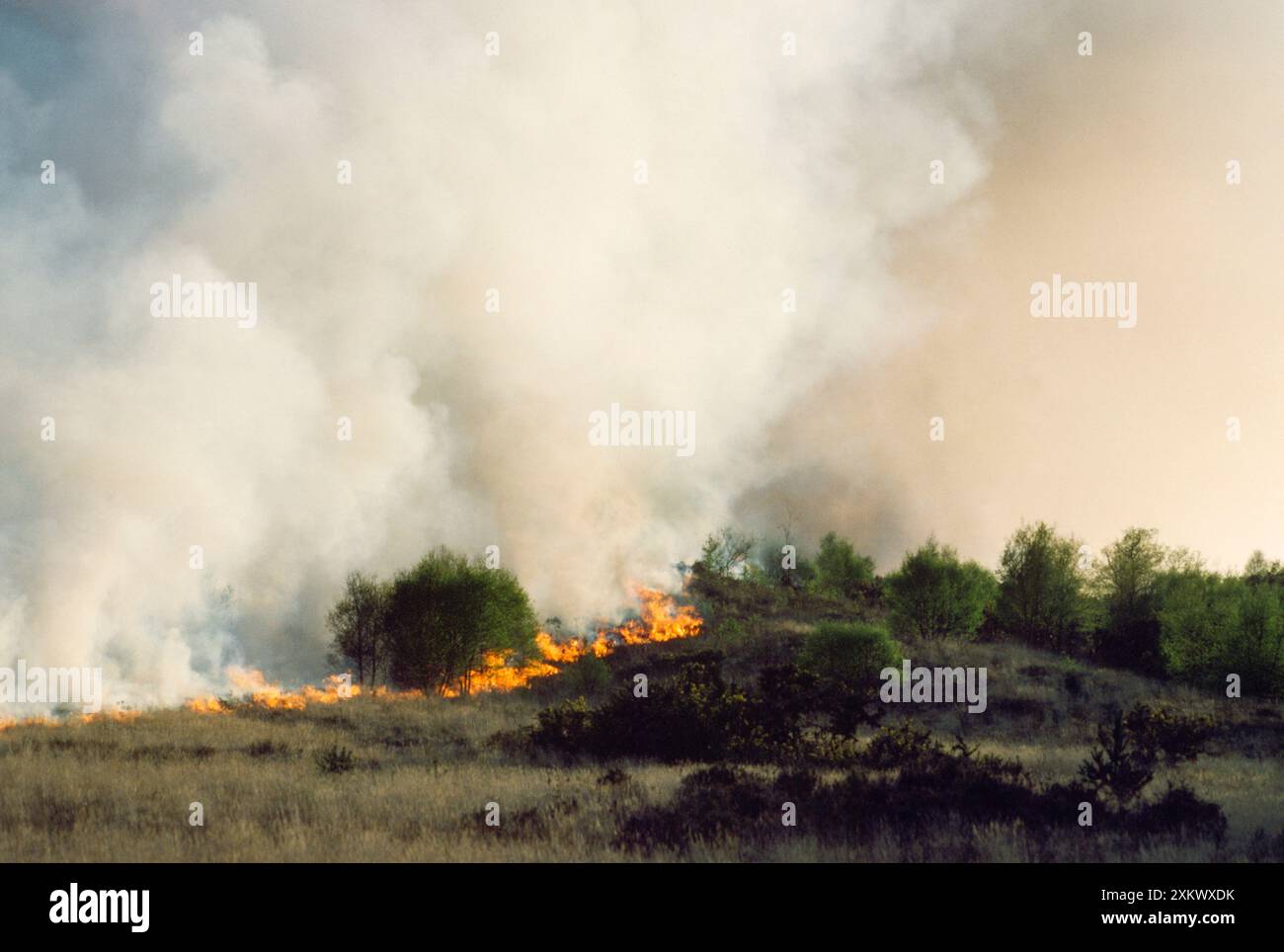 Fire - burning heathland Stock Photo - Alamy