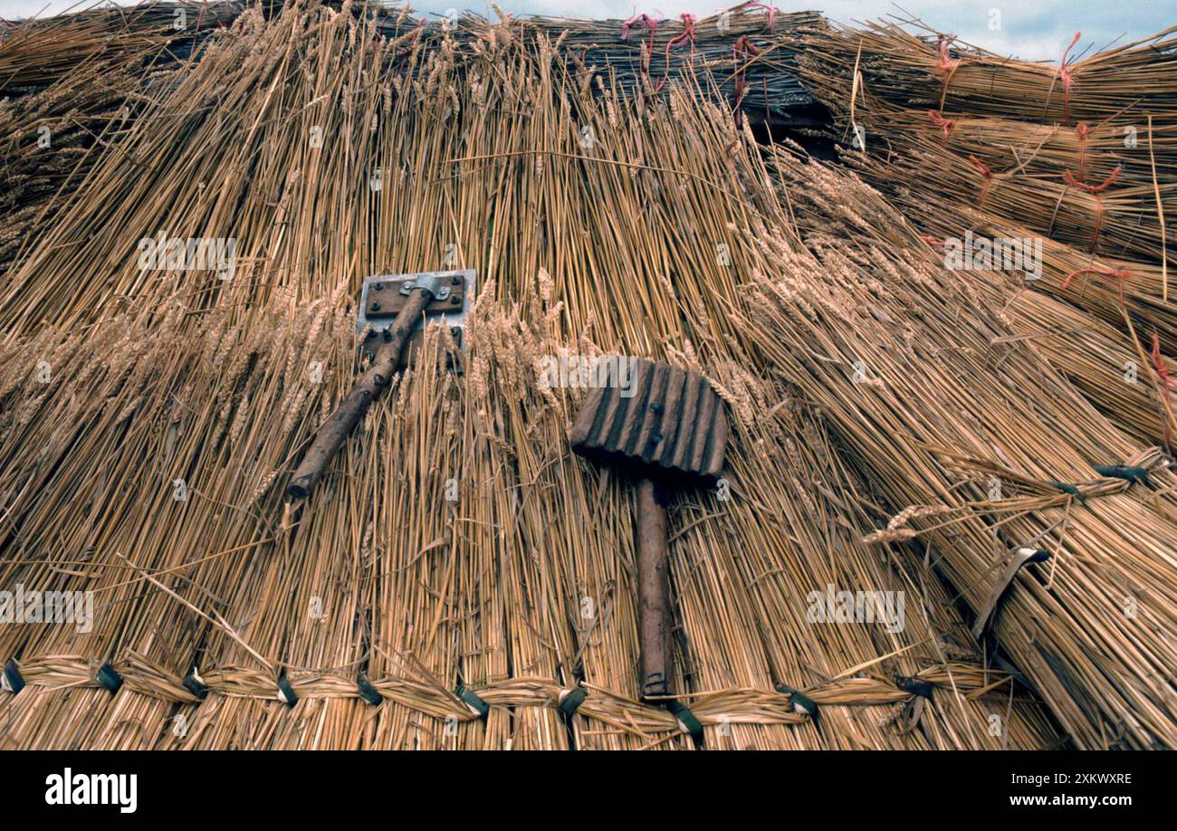 Thatcher's tools - with straw thatching Stock Photo - Alamy