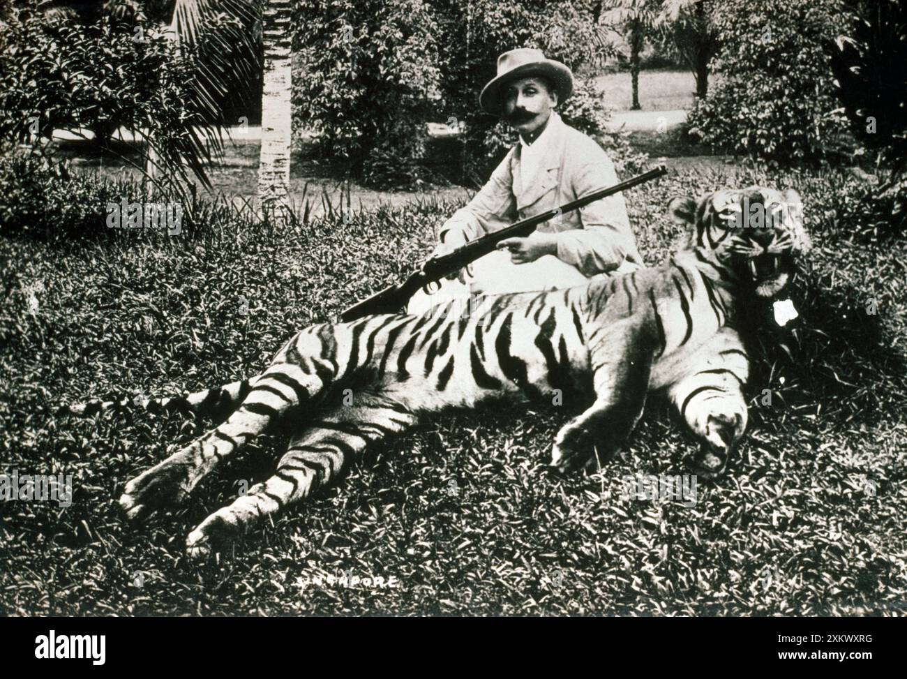 Tiger Hunter - Animal exploitation Stock Photo - Alamy