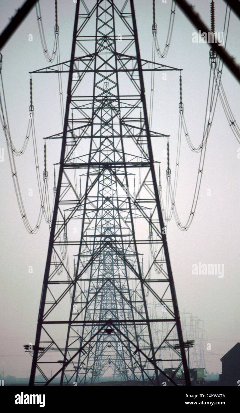 Pylons and wildlife hi-res stock photography and images - Alamy