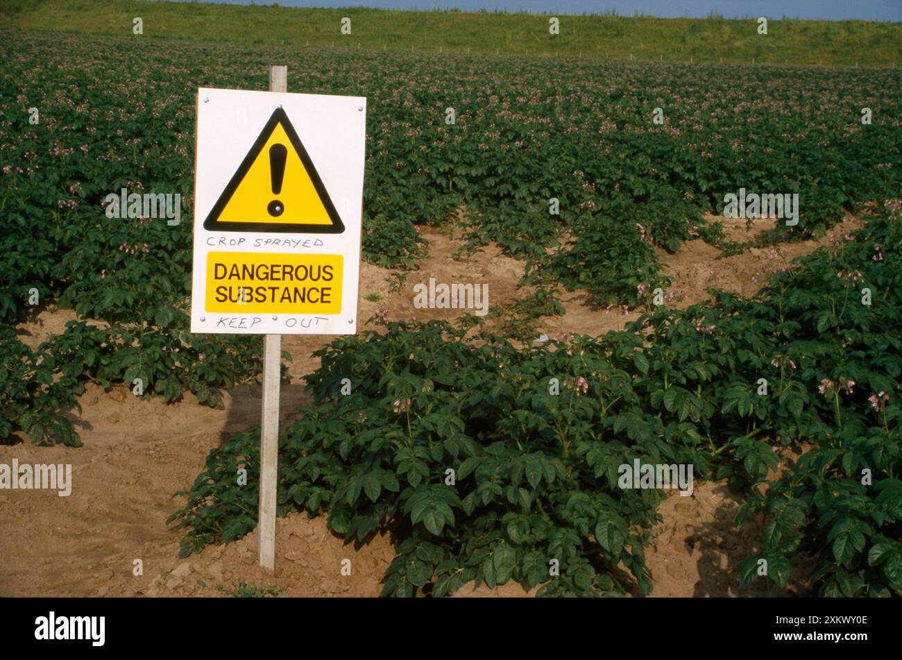 Farming - sign warning to keep out of field. Crops Stock Photo - Alamy