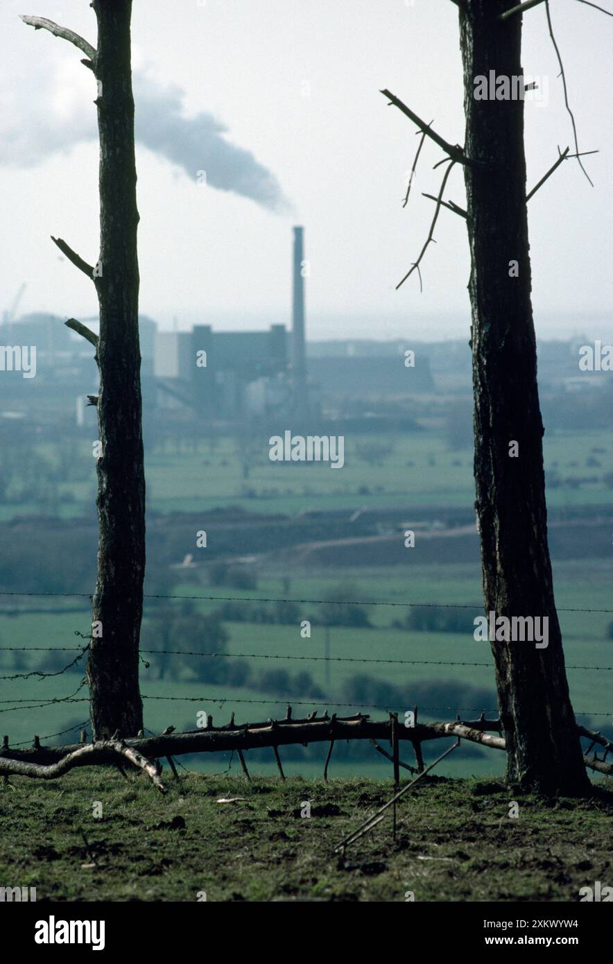 Acid rain damage hi-res stock photography and images - Alamy