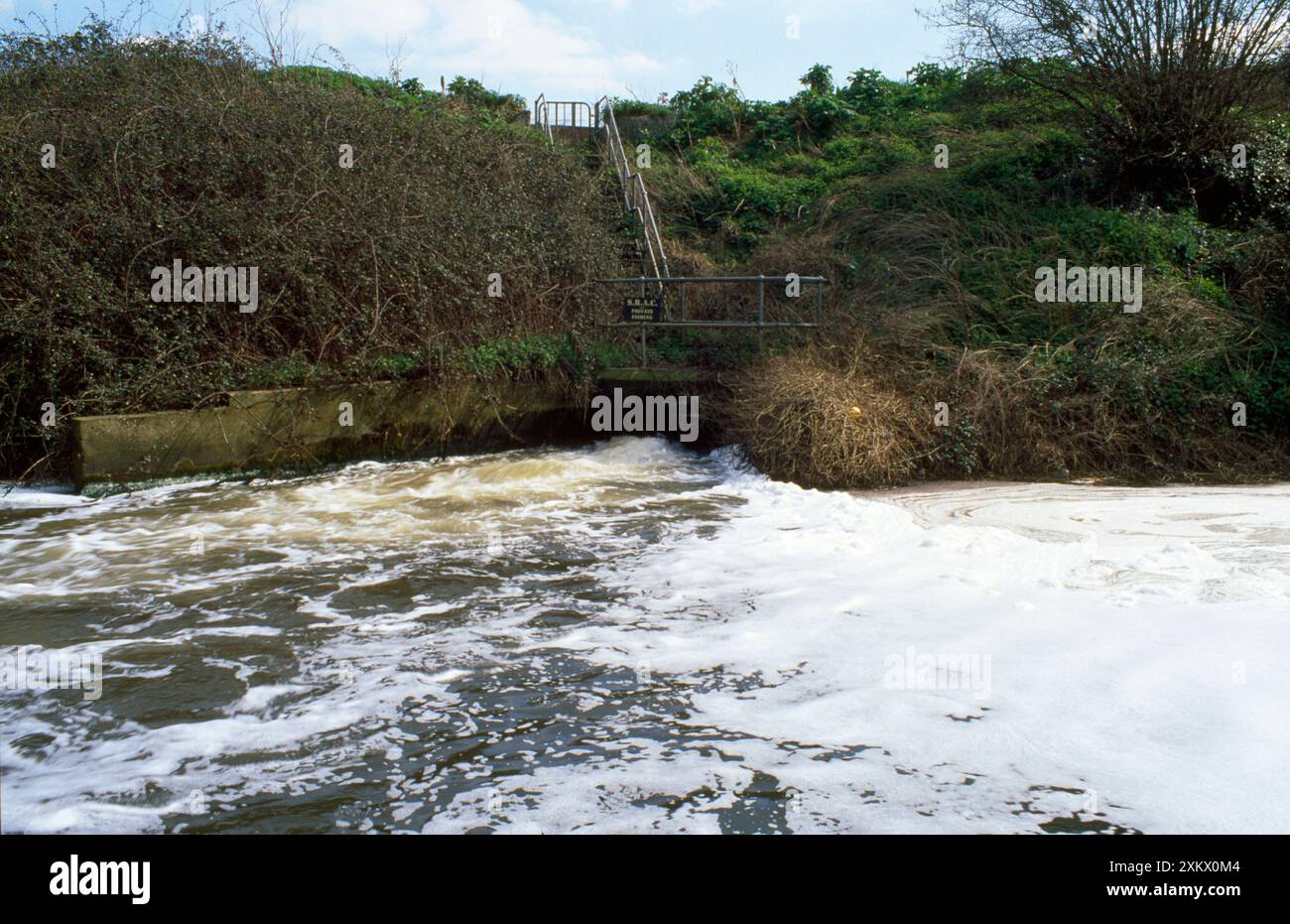 Wildlife habitat pollution hi-res stock photography and images - Alamy