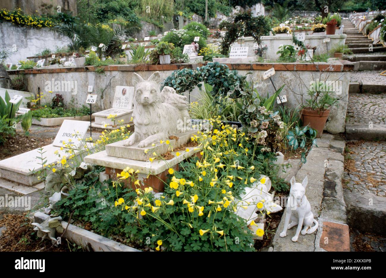 Pet CEMETERY- dog grave Stock Photo - Alamy